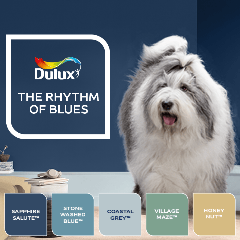 Latex-Based Paint and Painting & Decorating at B&Q