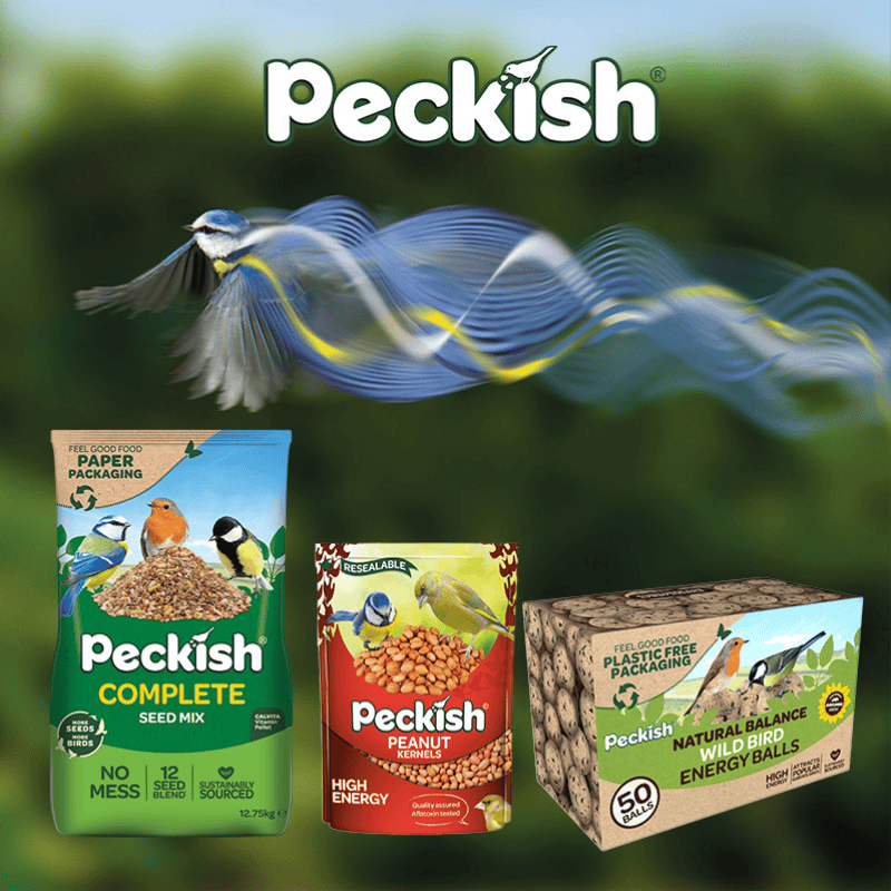 Peckish Bird Food and Bird Care at B&Q